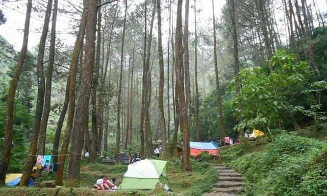 Tempat Camping di Puncak: Panduan Venue Terbaik untuk Wisata Keluarga ...
